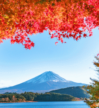 Tour Du lịch Nhật Bản 6N5Đ: Osaka - Kobe - Nagoya - Kyoto - Núi Phú Sĩ ...