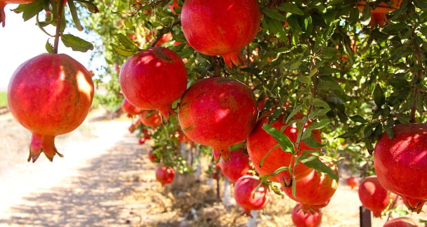 Khám phá Du lịch Mông Tự Trung Quốc Từ A-Z cho người mớí bắt đầu